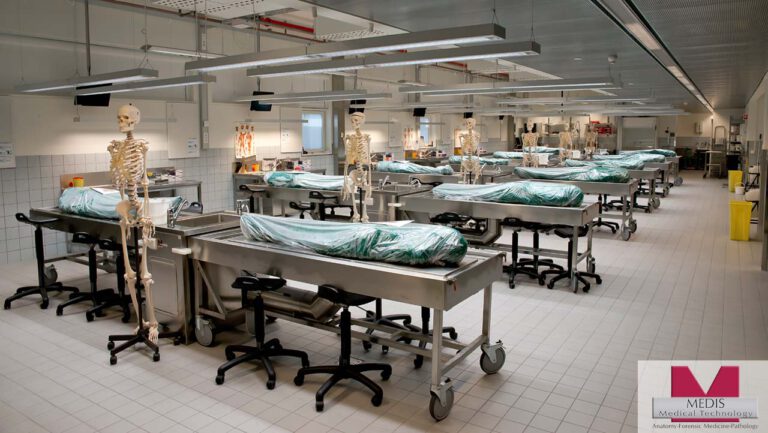 Anatomisches Institut der Norvegian University of Science and ...