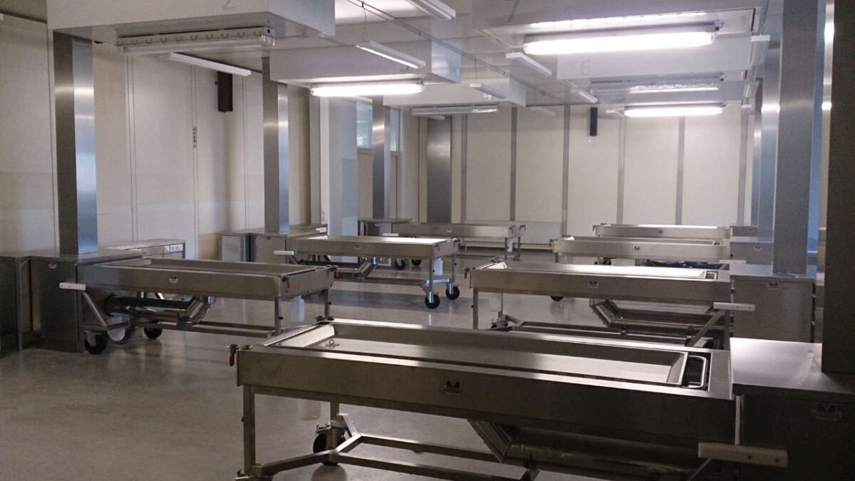 Anatomy Dpt. of the University of Heidelberg / Germany – MEDIS Medical ...