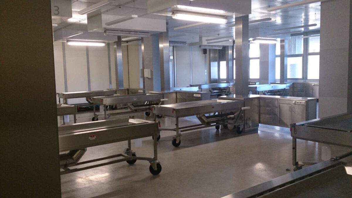 Anatomy Dpt. of the University of Heidelberg / Germany – MEDIS Medical ...